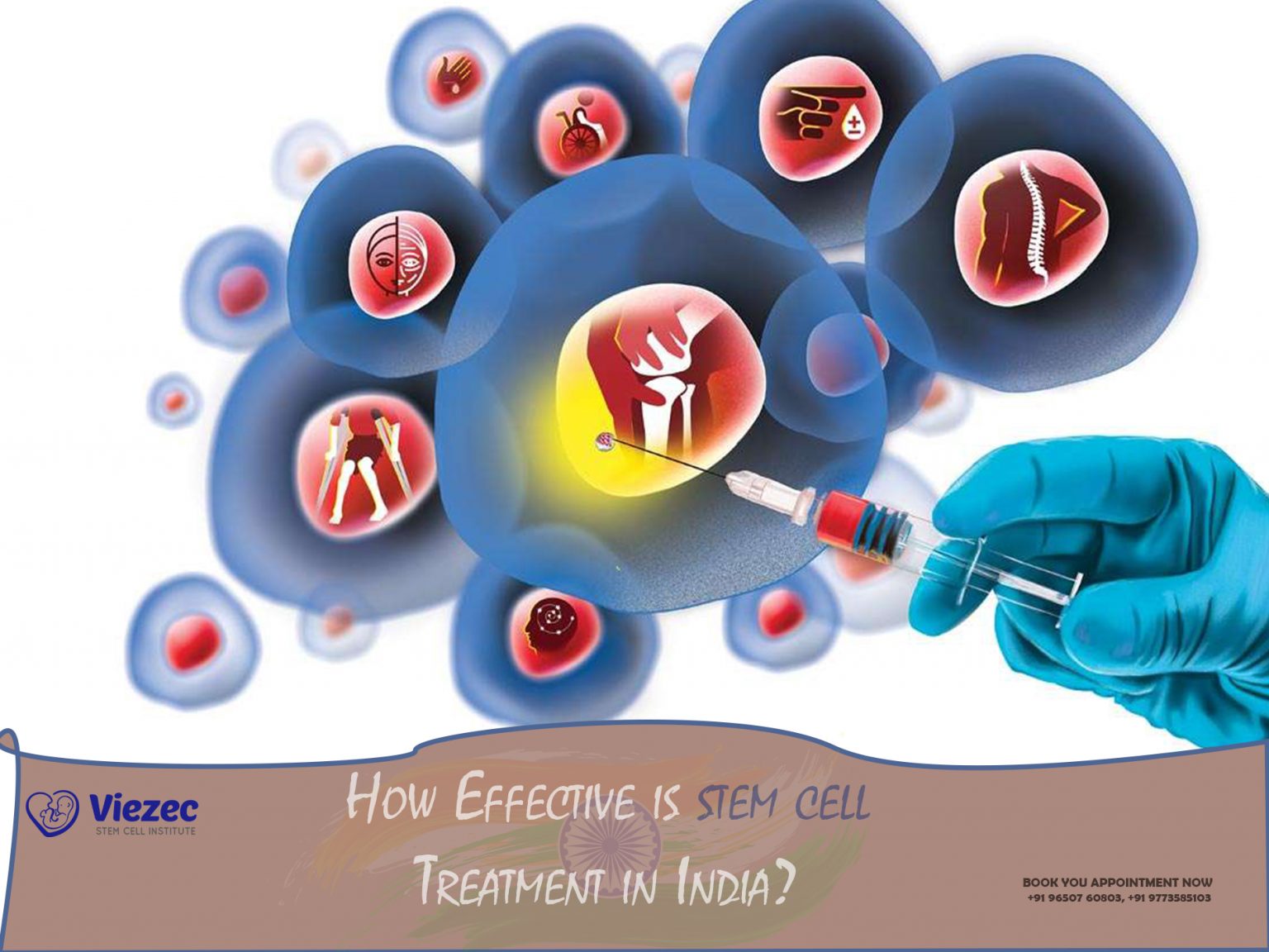Effectiveness Of Stem Cell Treatment In India - Viezec