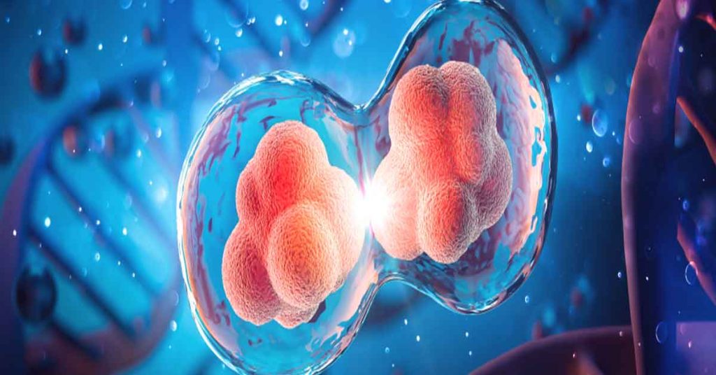 Advanced Cell Therapy - Viezec Stem Cell Institute