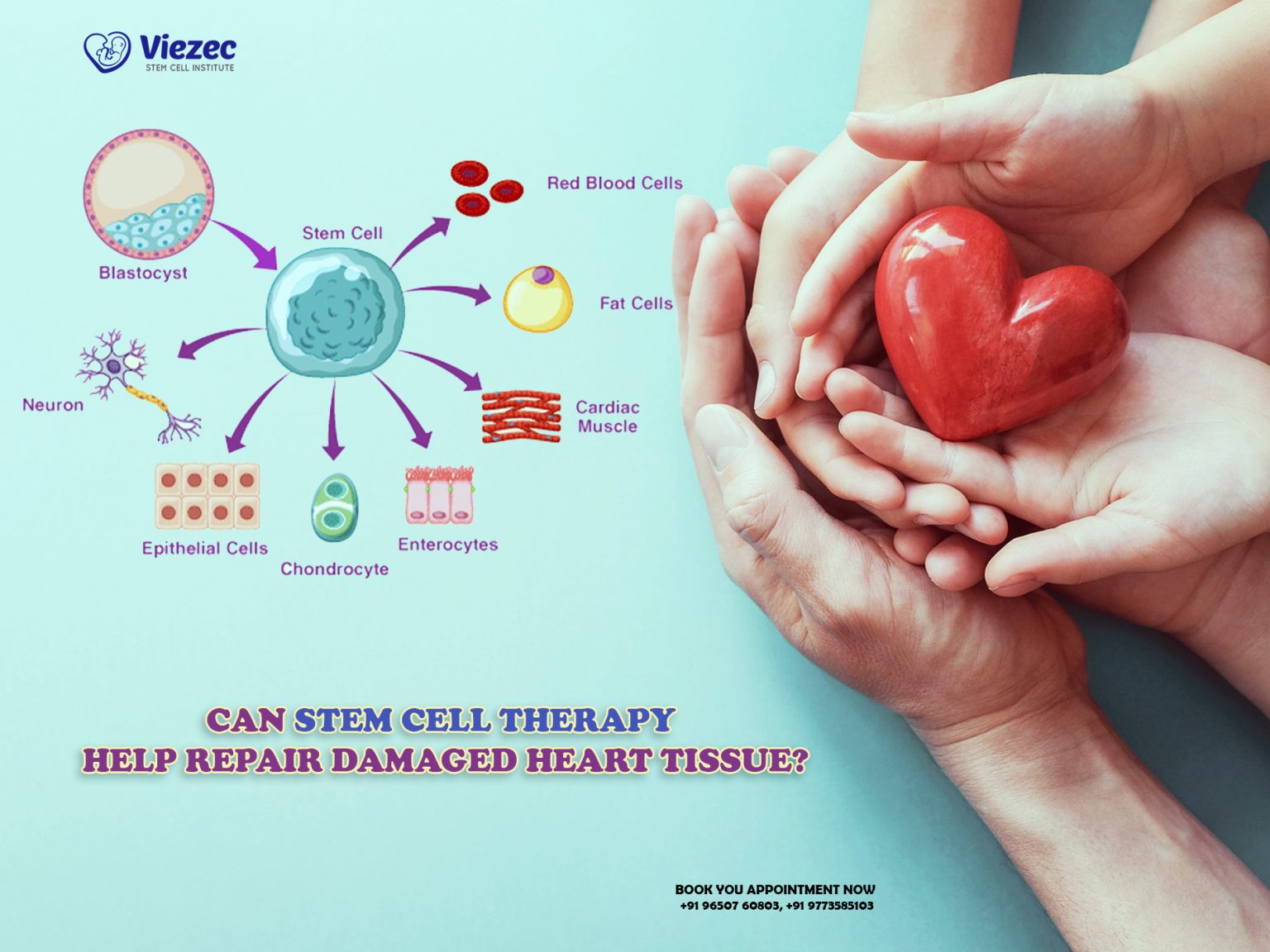 Stem Cell Therapy For Heart Problems In India
