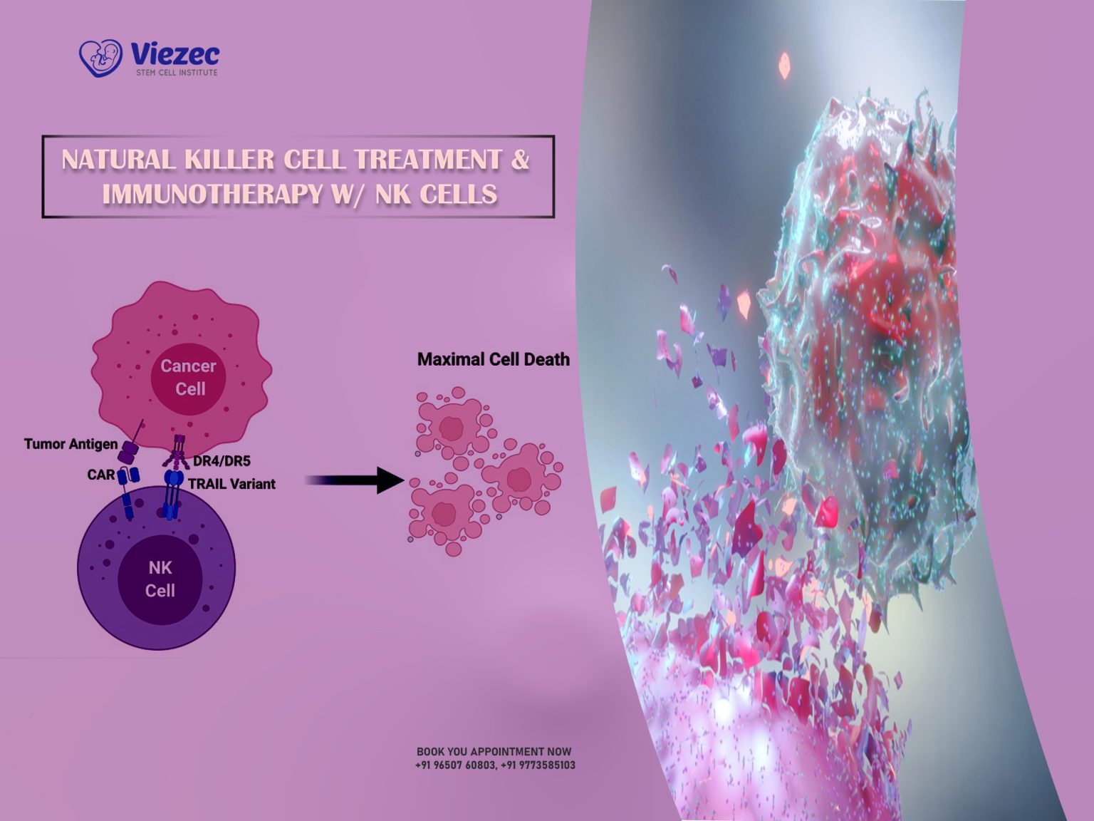Natural Killer Cell Treatment & Immunotherapy W/ NK Cells