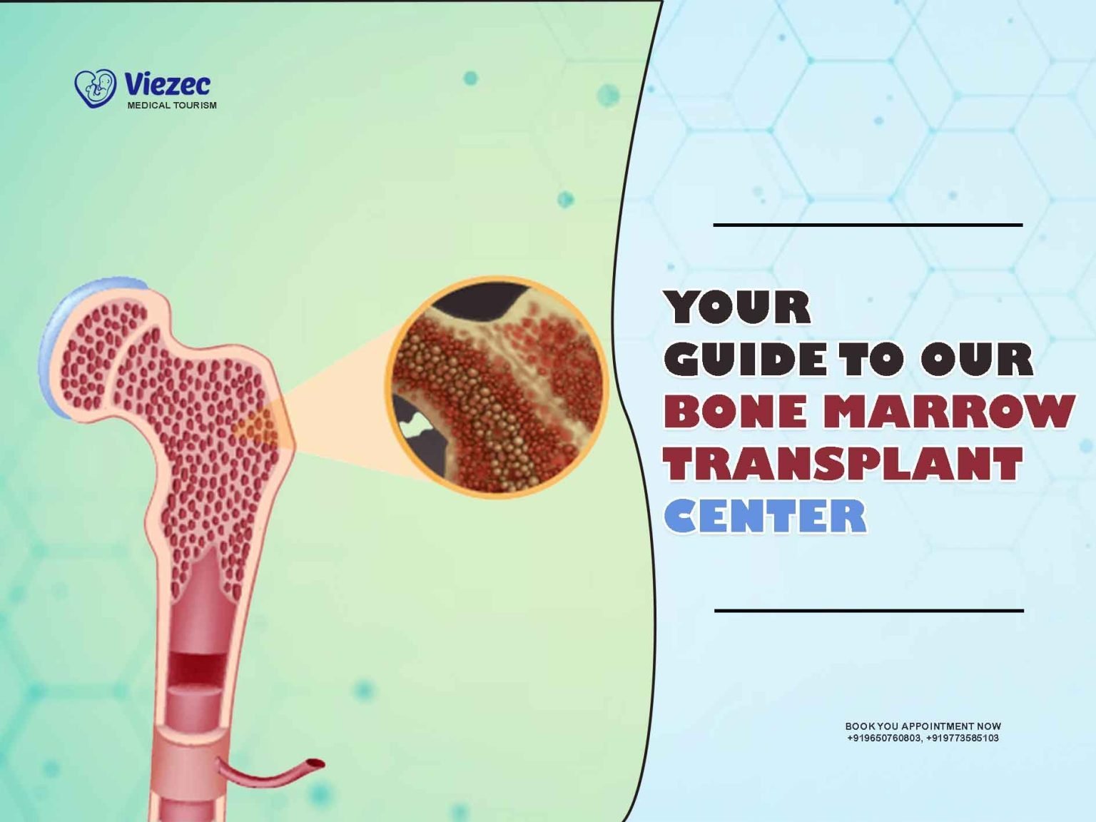 Your Guide To Our Bone Marrow Transplant Center