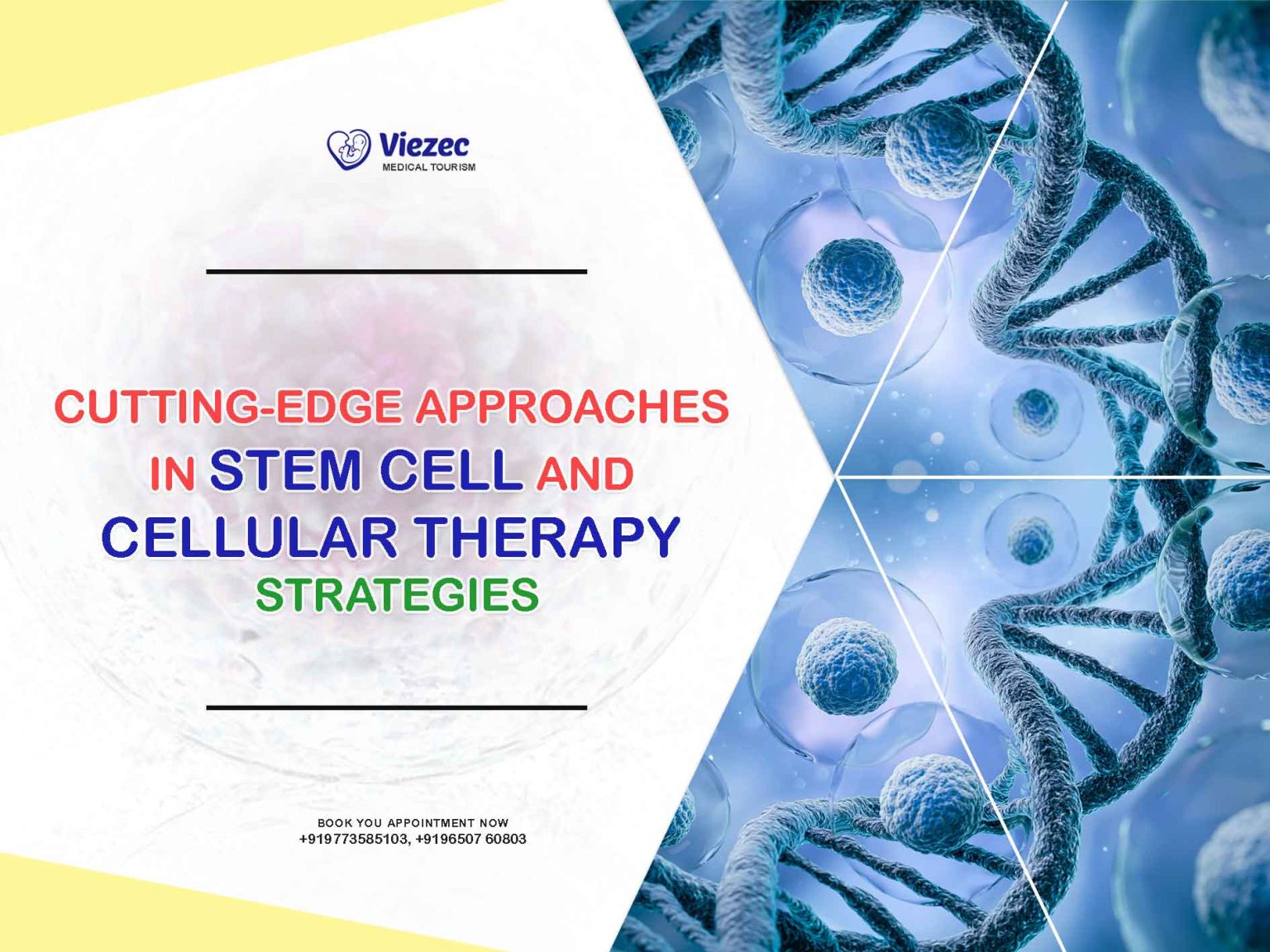 Unique Approaches In Stem Cell And Cellular Therapy Strategies