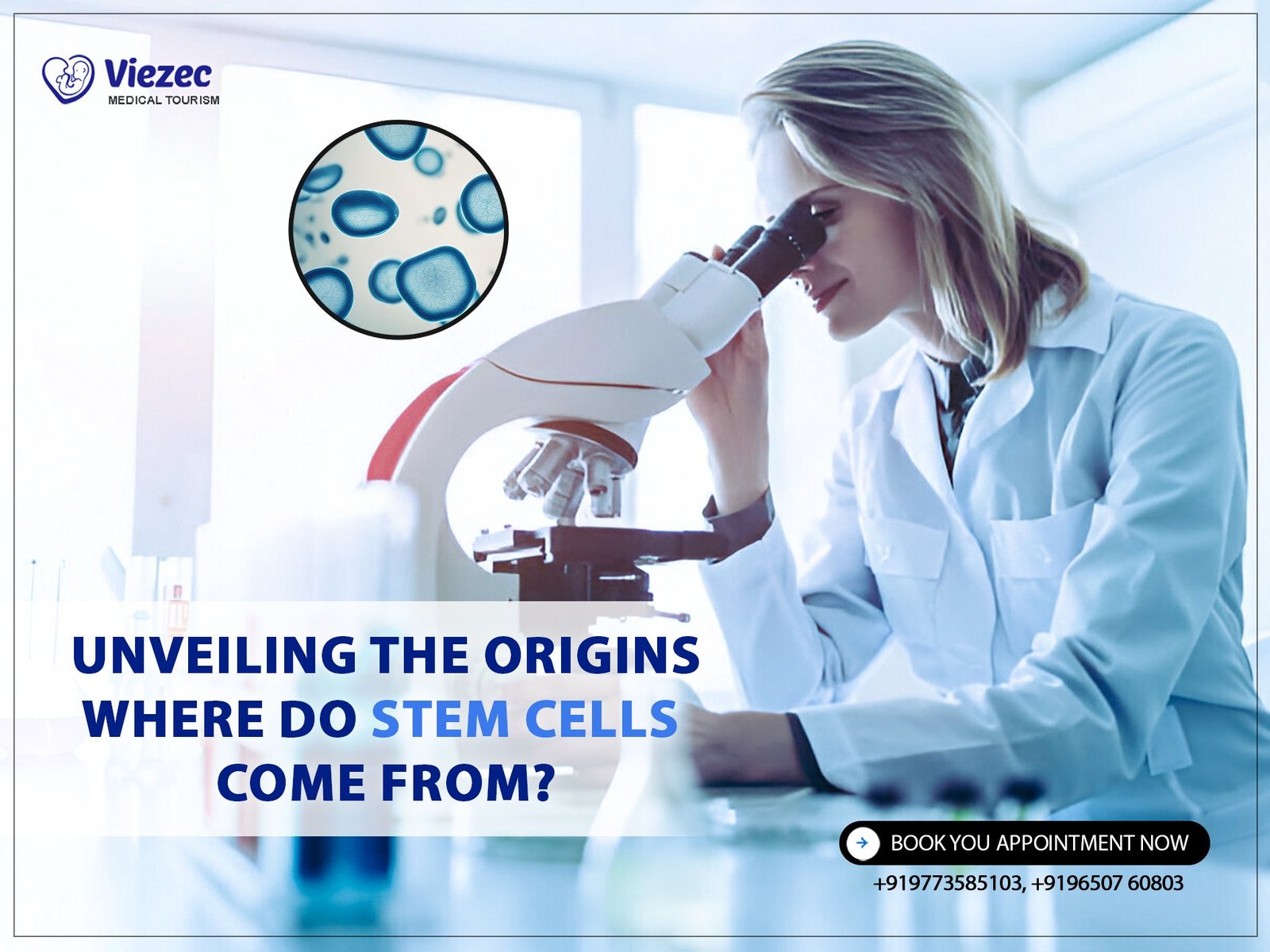 Unveiling The Origins: Where Do Stem Cells Come From?