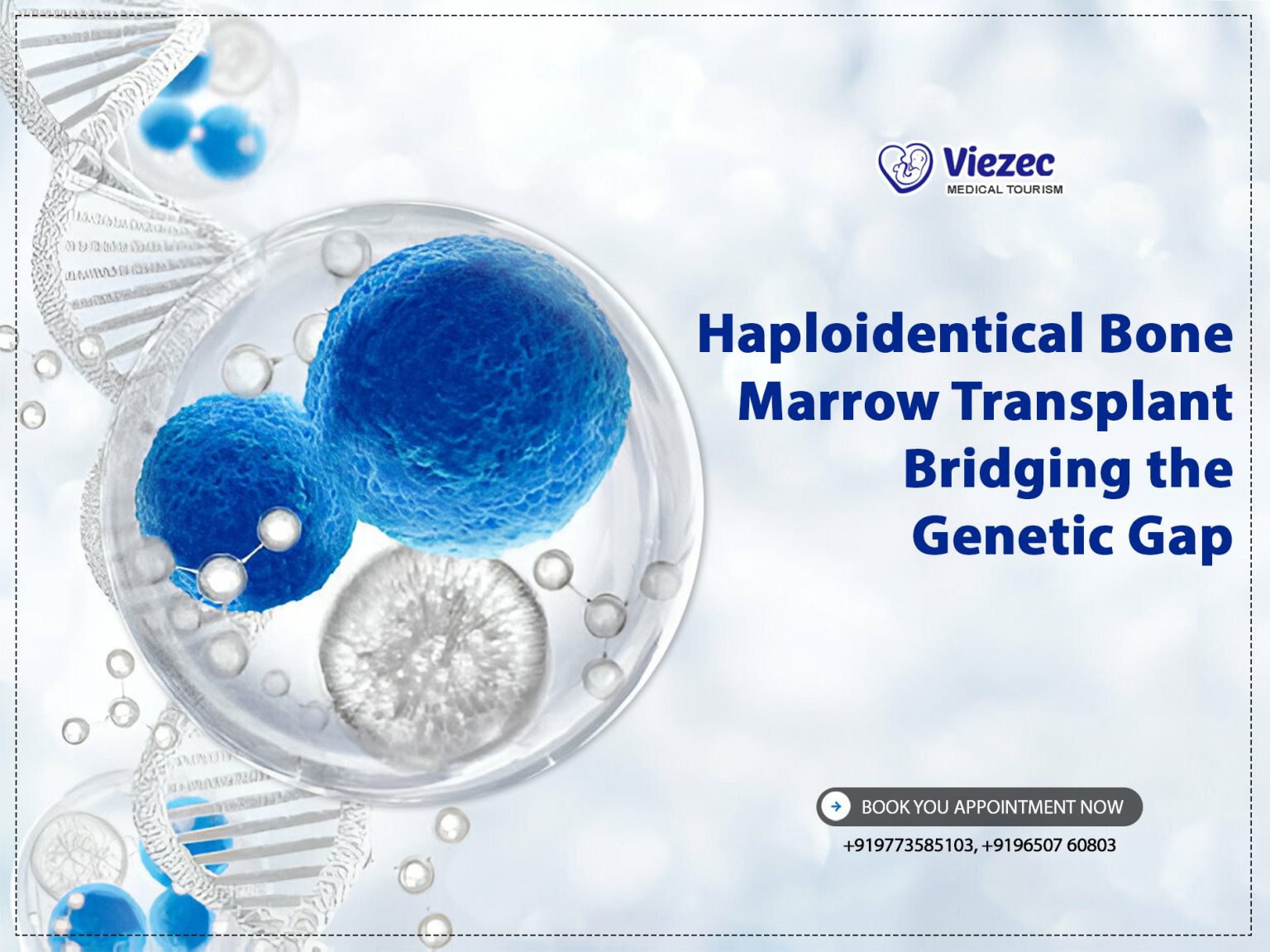 Science Behind Haploidentical Bone Marrow Transplant