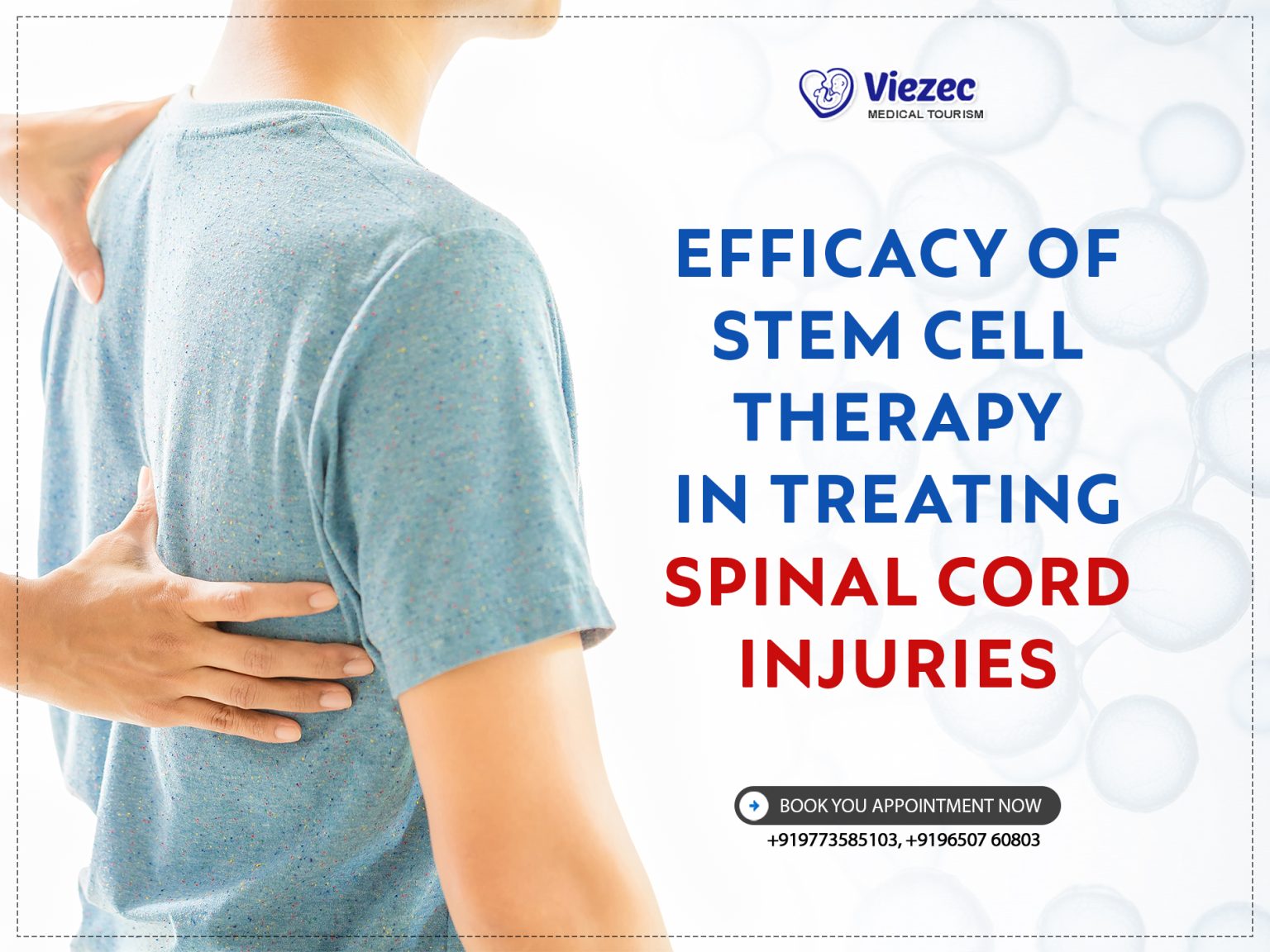Evaluating Efficacy In Spinal Cord Injuries Treatment