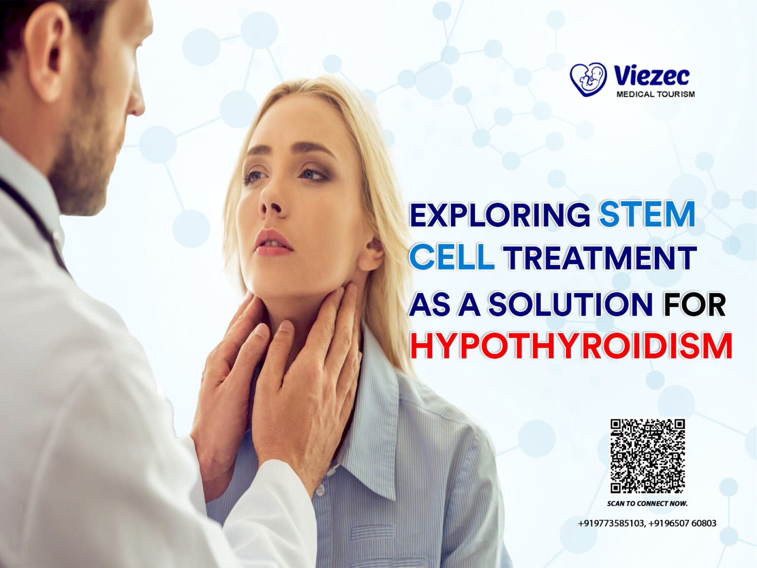 Where Do Stem Cells Come From? Sources & Future Insights