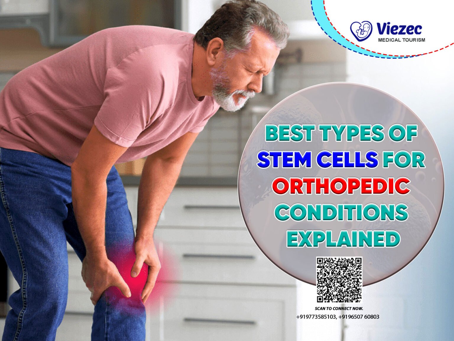 Totipotent Stem Cells: Definition, Function & Future Uses