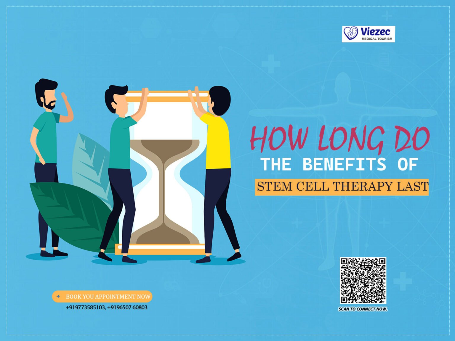 Totipotent Stem Cells: Definition, Function & Future Uses