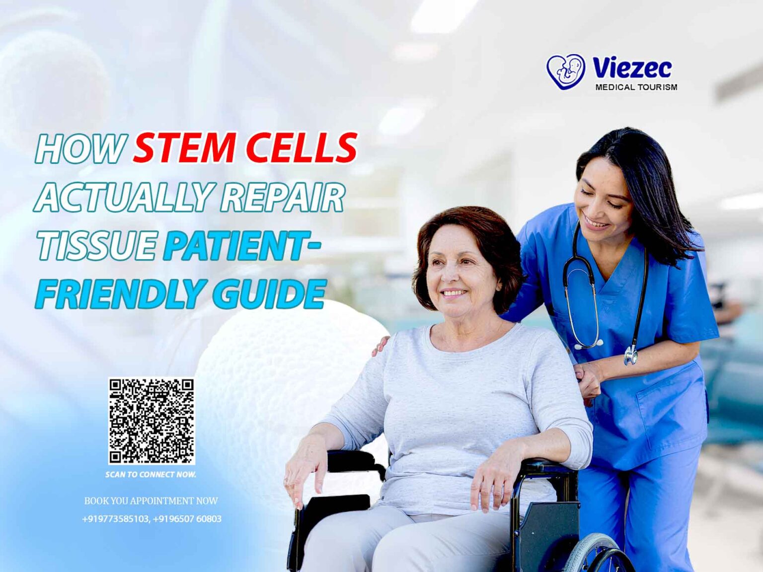 Stem Cell Vs Bone Marrow Transplant | Key Differences Explained